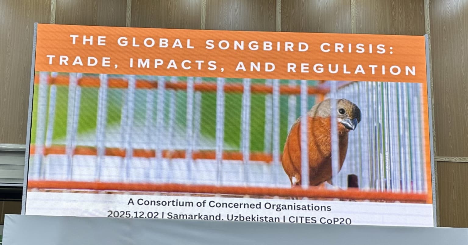 CITES CoP20 Outcomes: Strengthening Wildlife Trade Policies for a ...