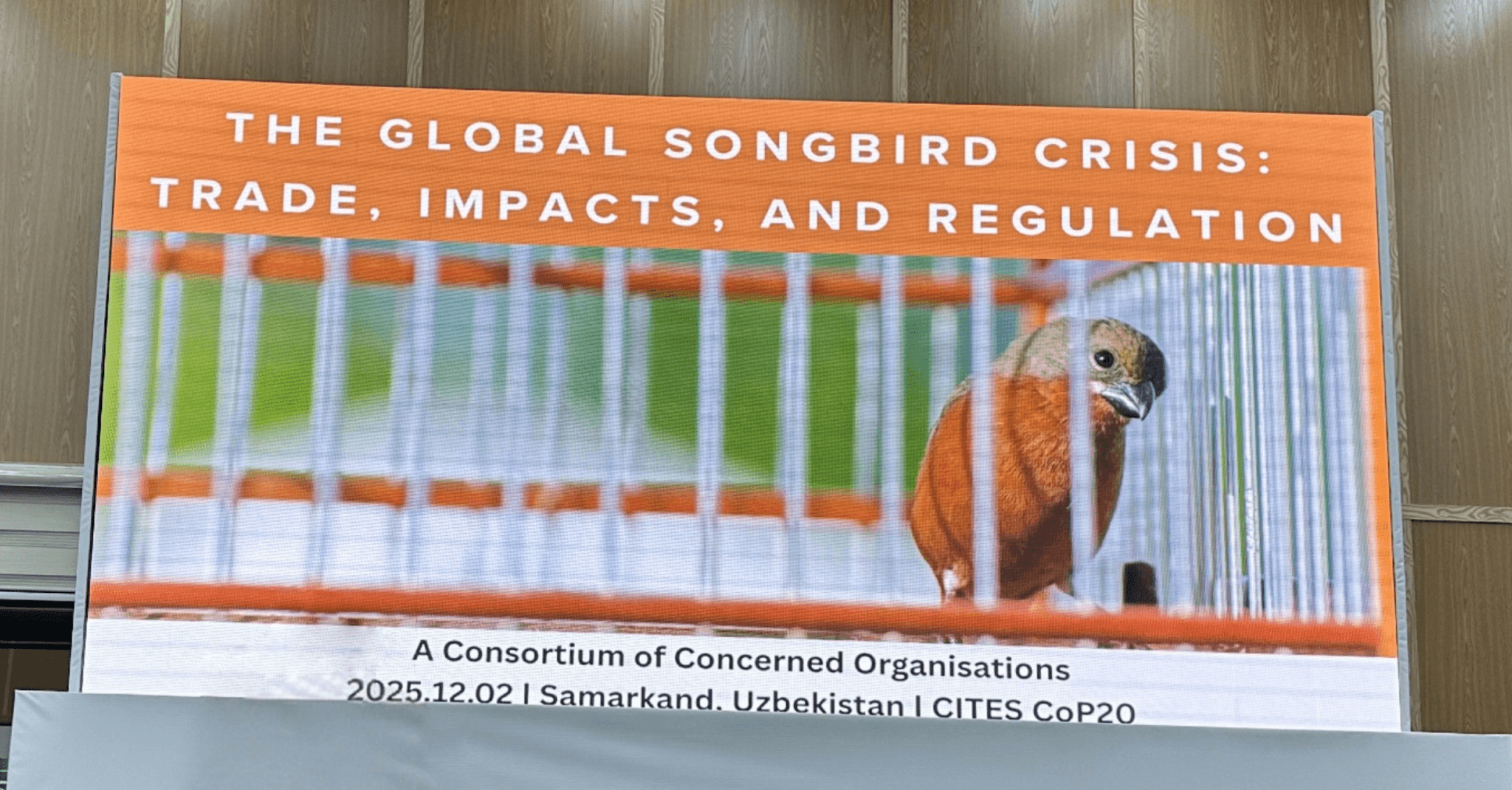 CITES CoP20 Outcomes: Strengthening Wildlife Trade Policies for a ...