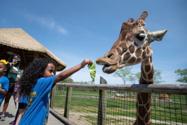 WAZA Welcomes New Member– Columbus Zoo and Aquarium - WAZA