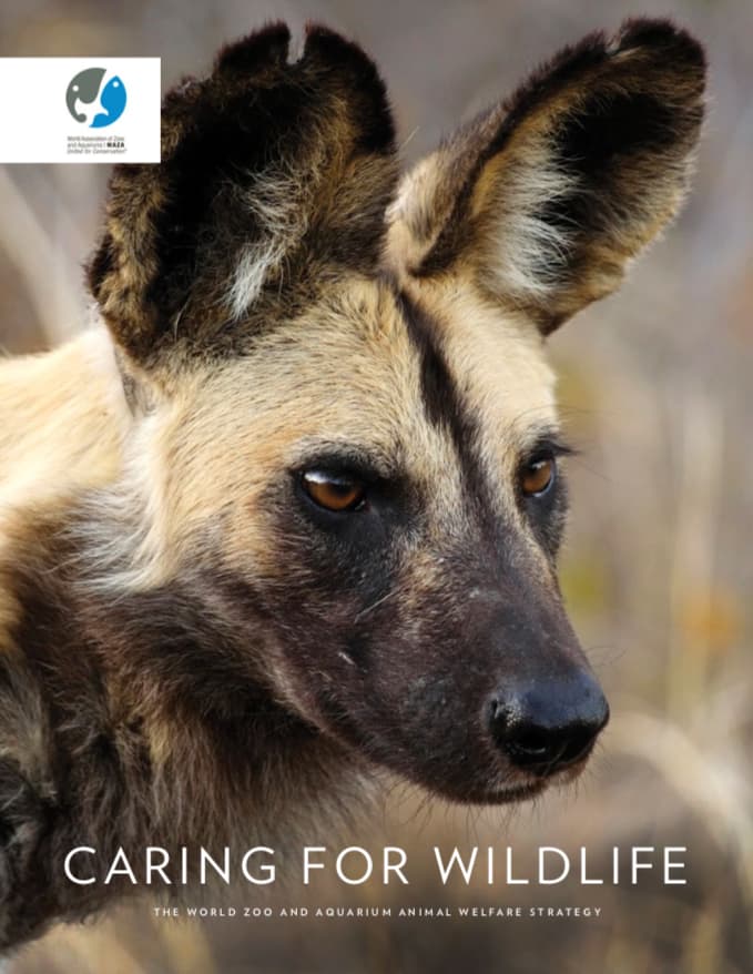 Animal Welfare Strategies - WAZA