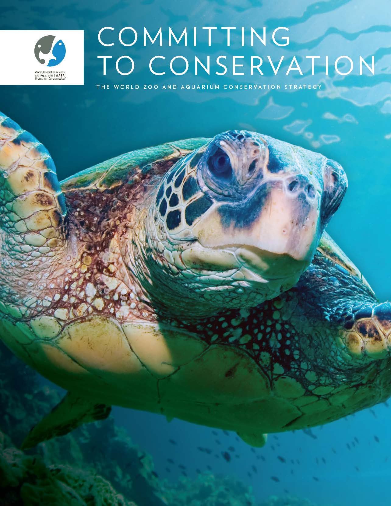 Conservation Strategies - WAZA